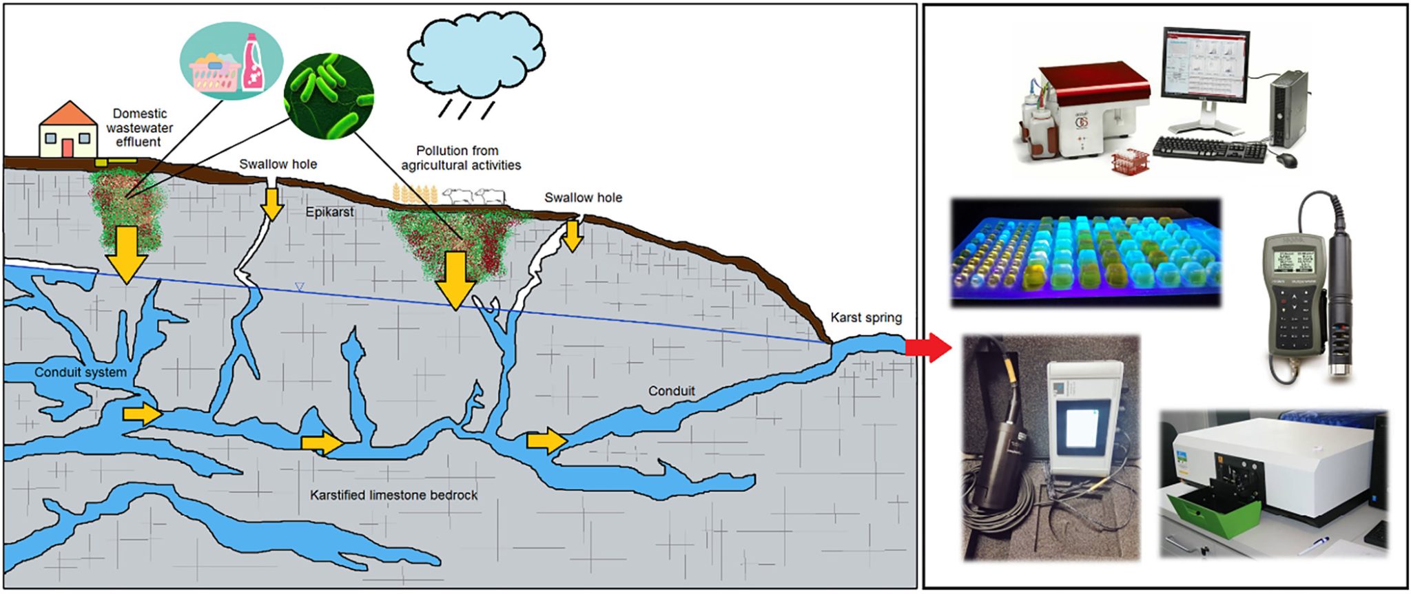 Investigating microbial pollution in karst groundwater