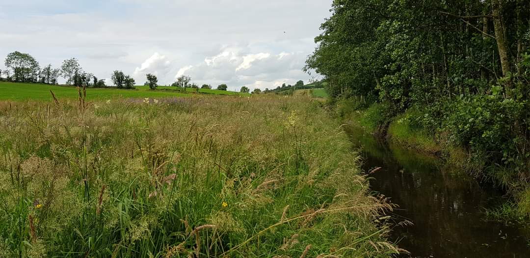 GWS Excellence Awards winners in focus: Magheracloone GWS